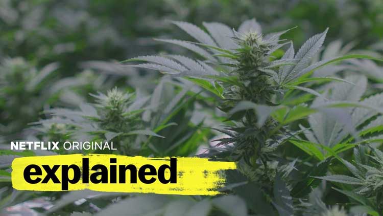 Explained – De DocUpdate