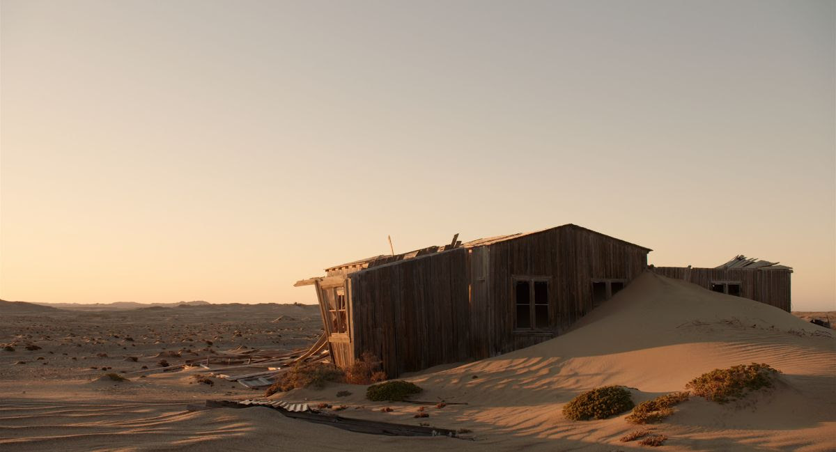 Desert Paradise – De DocUpdate