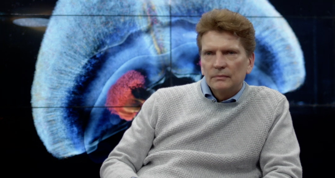 In Silico – De DocUpdate