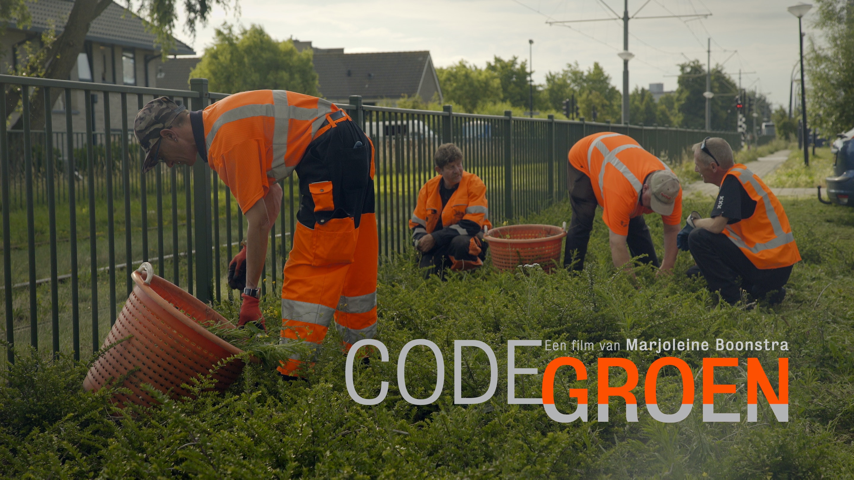 Code Groen – De DocUpdate