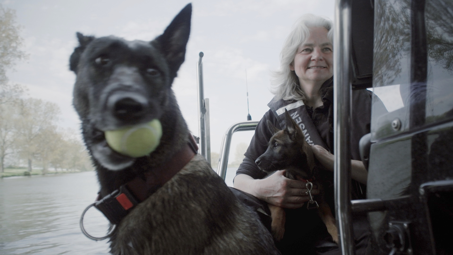 ZOEK! De Vrouw, De Hond En De Dood – De DocUpdate