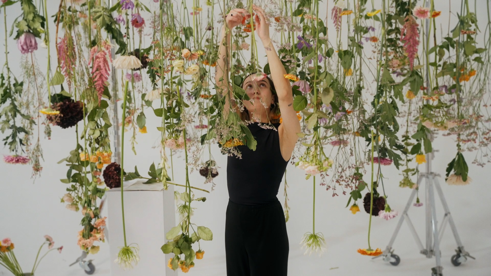 Indisch Zwijgen – De DocUpdate