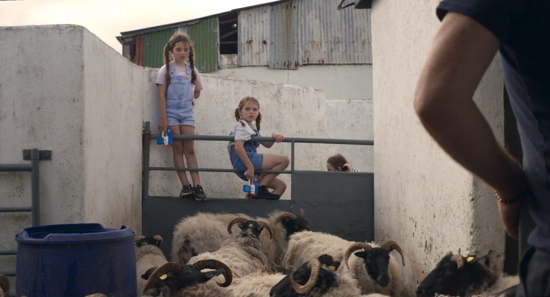 Ramboy – De DocUpdate