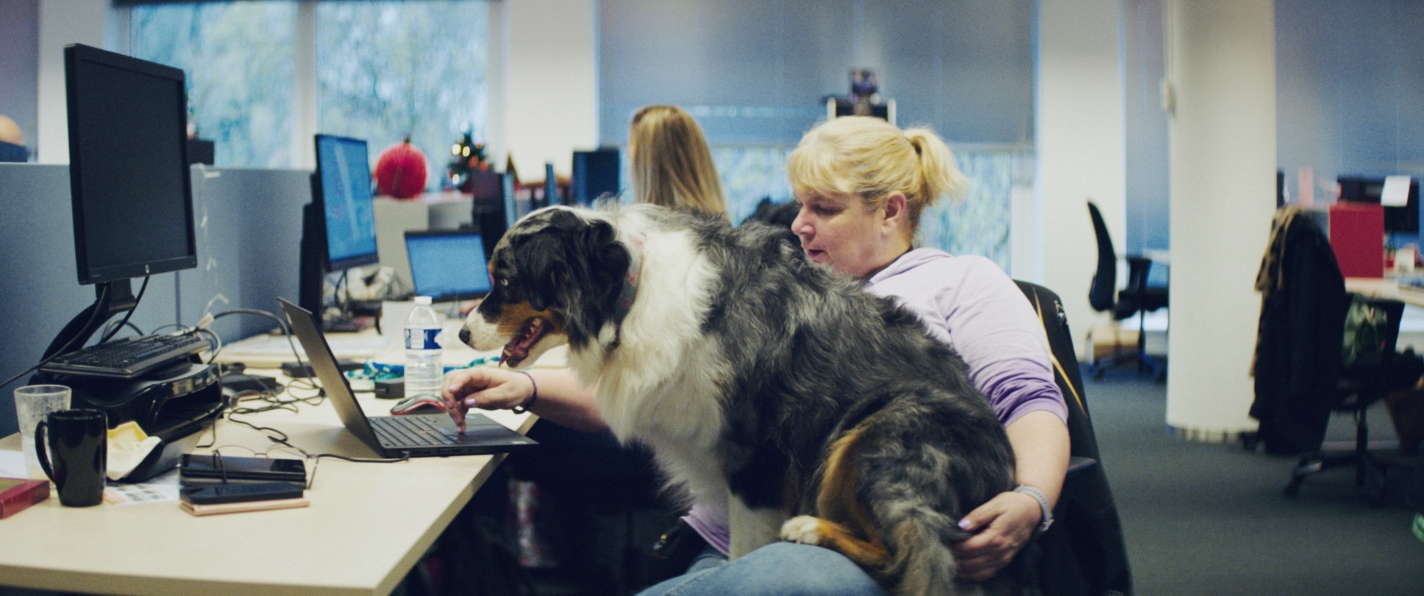 De Kantoorhond – De DocUpdate