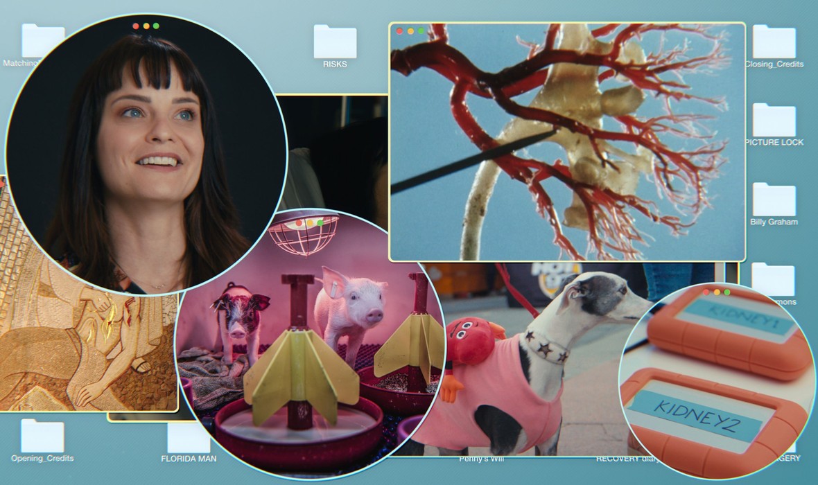 Confessions Of A Good Samaritan – De DocUpdate