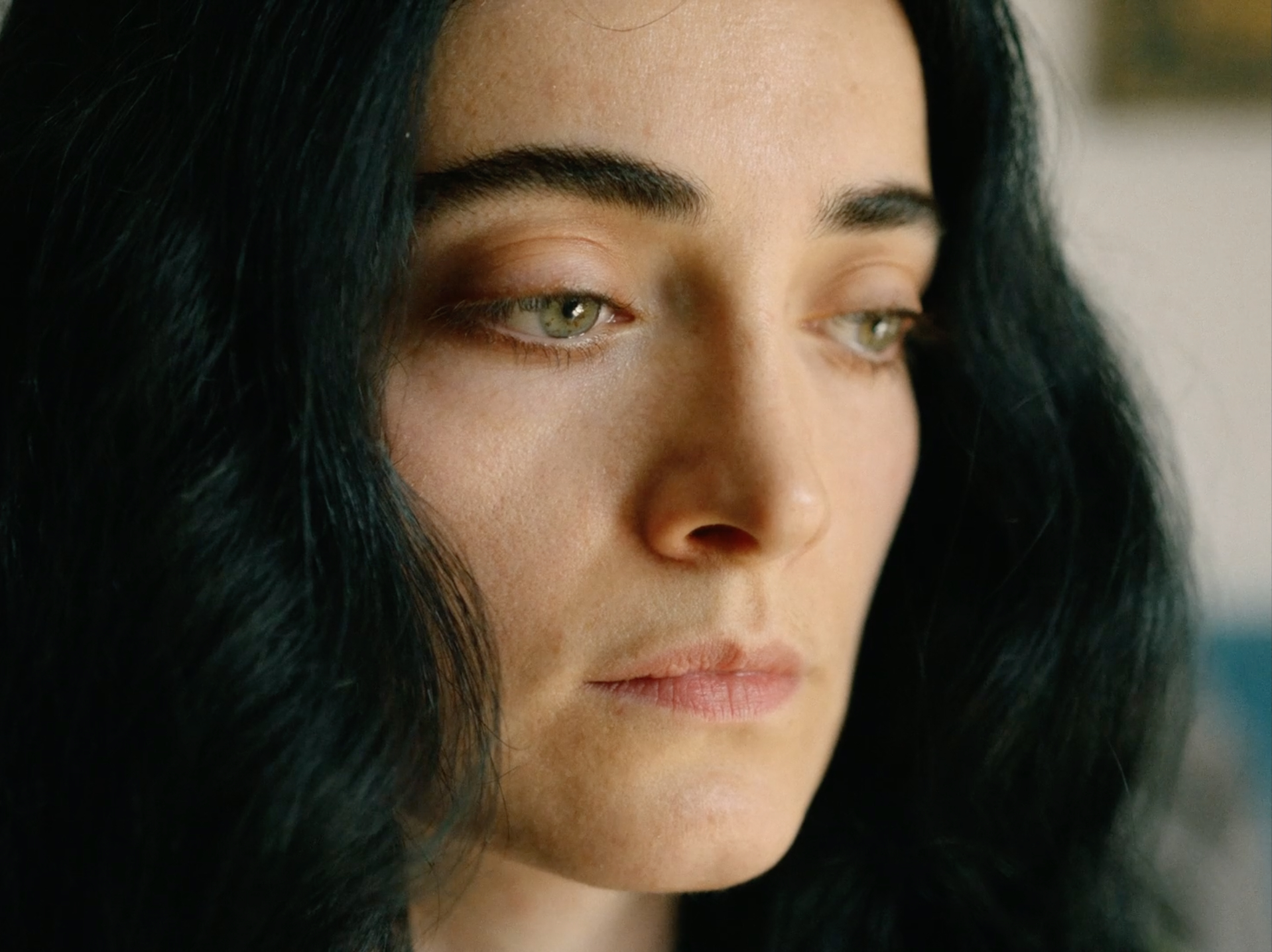 Boom Des Leugens – De DocUpdate