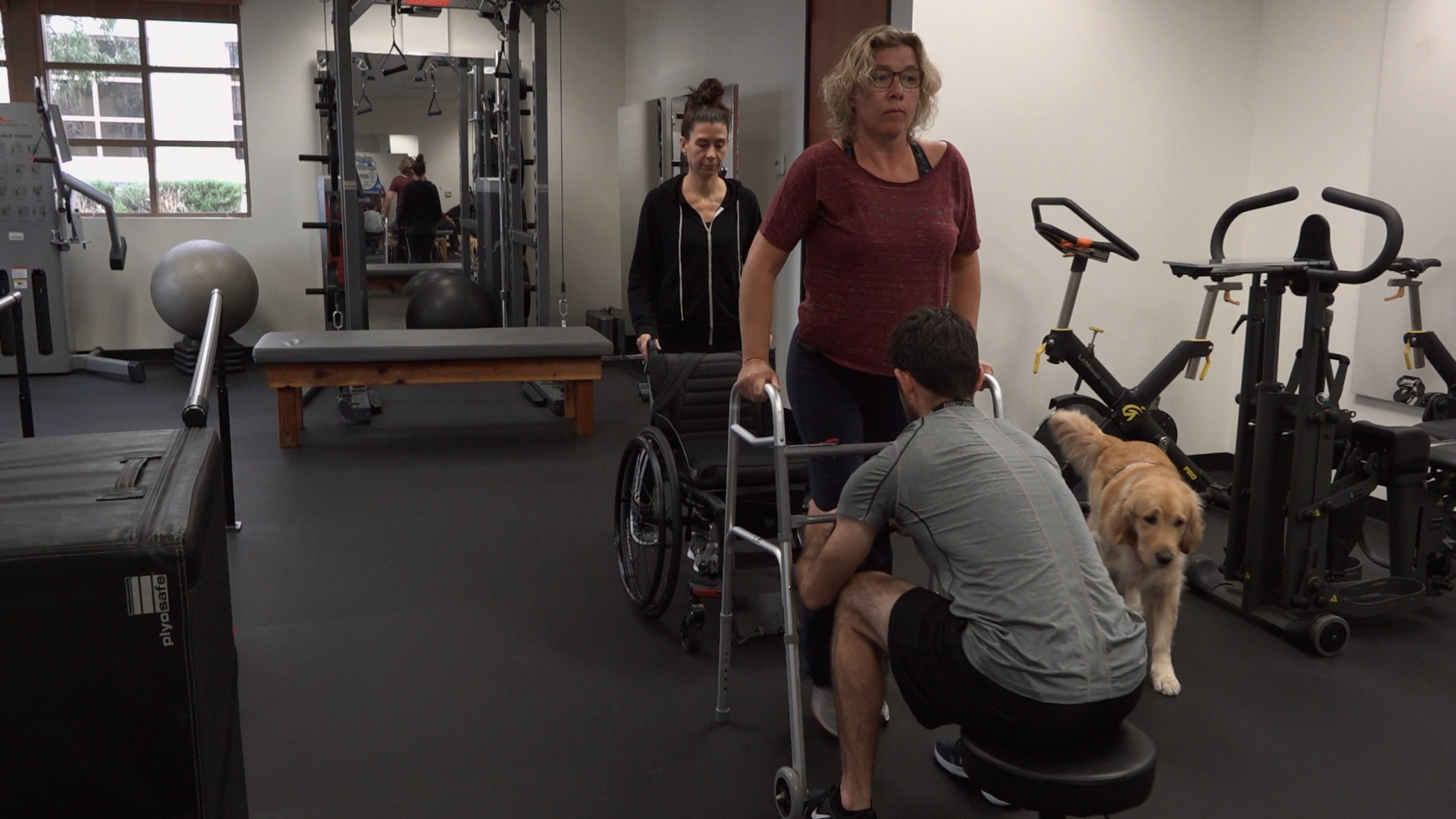 Dwars – De DocUpdate