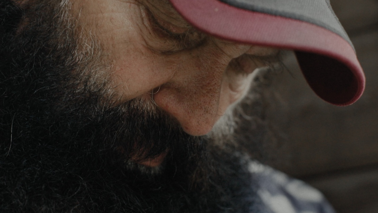 Beest – De DocUpdate